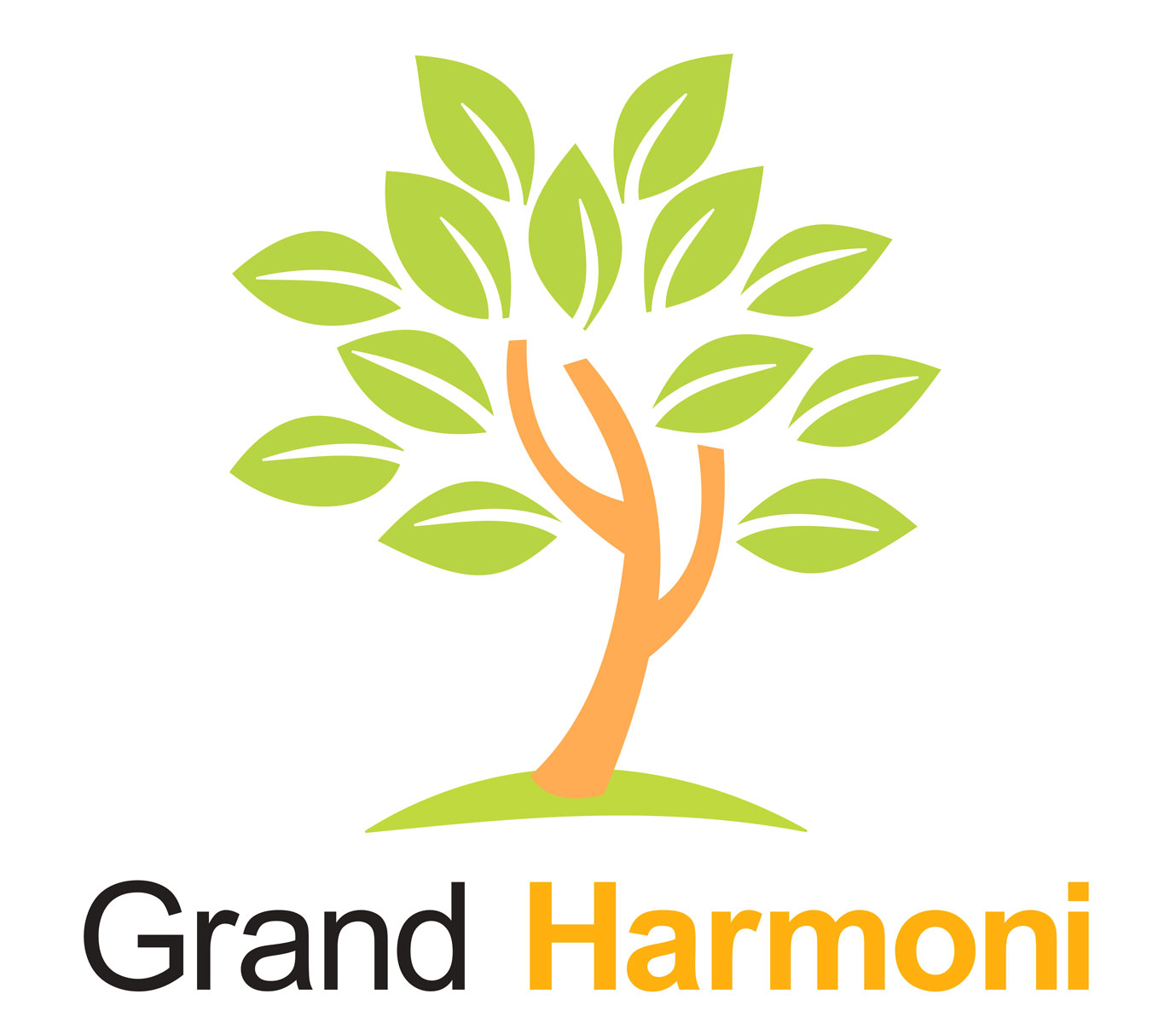 ABOUT - Grand Harmoni
